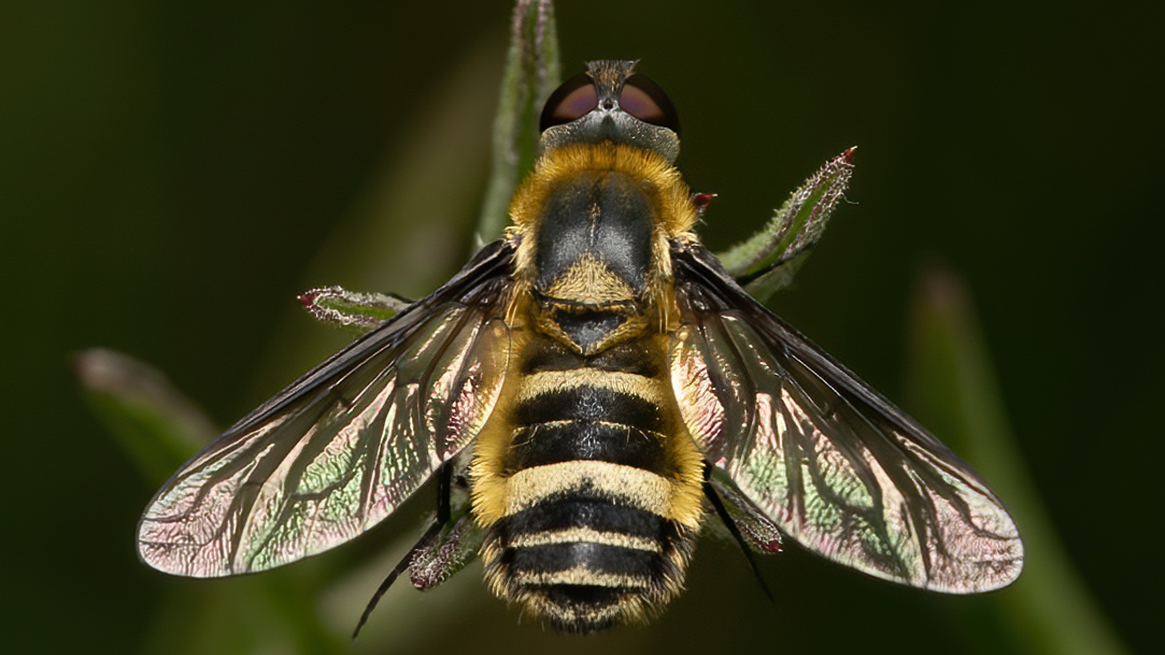 Moving on – Ecology Field Notes