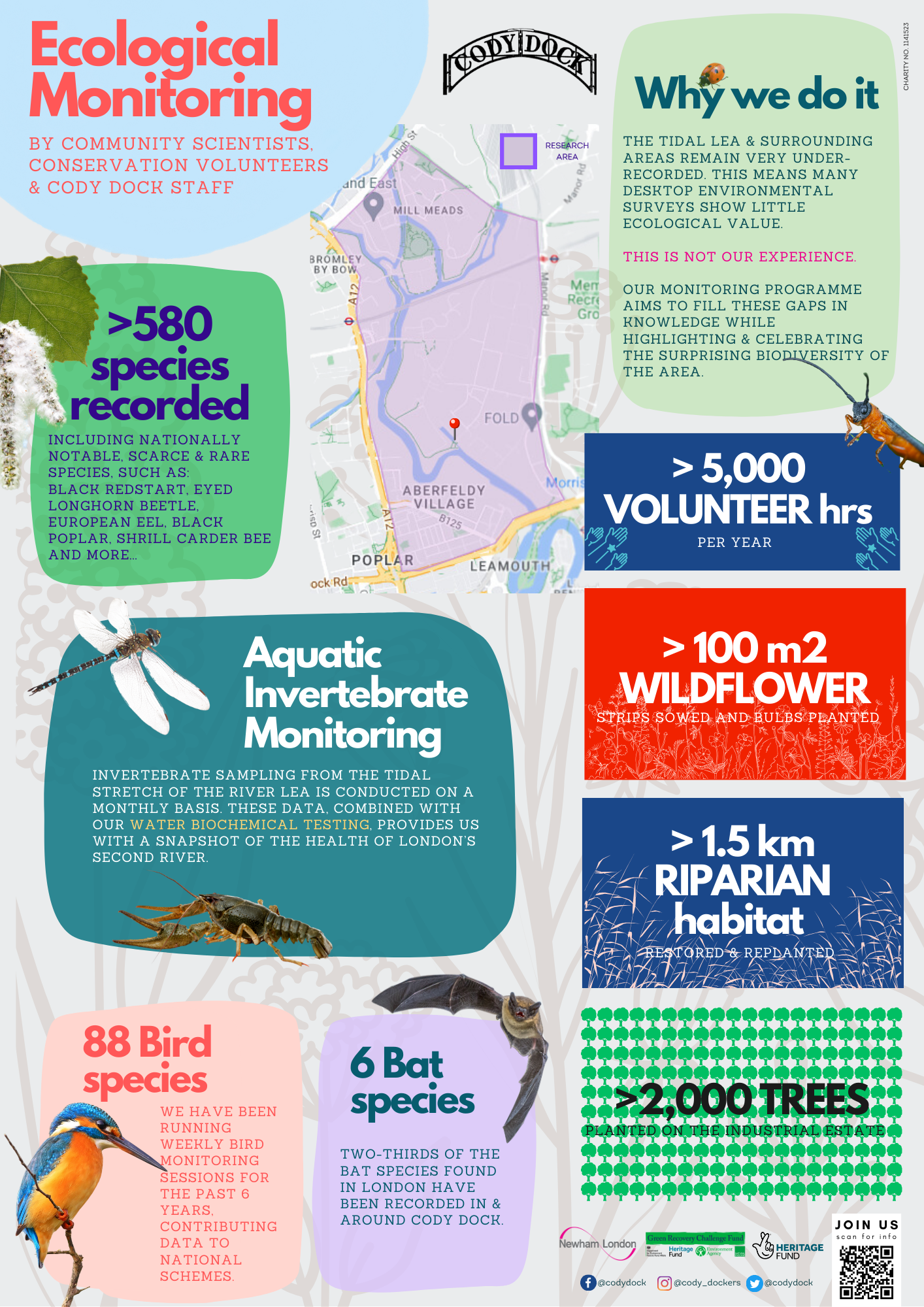 Cody Dock Ecology Update – Ecology Field Notes