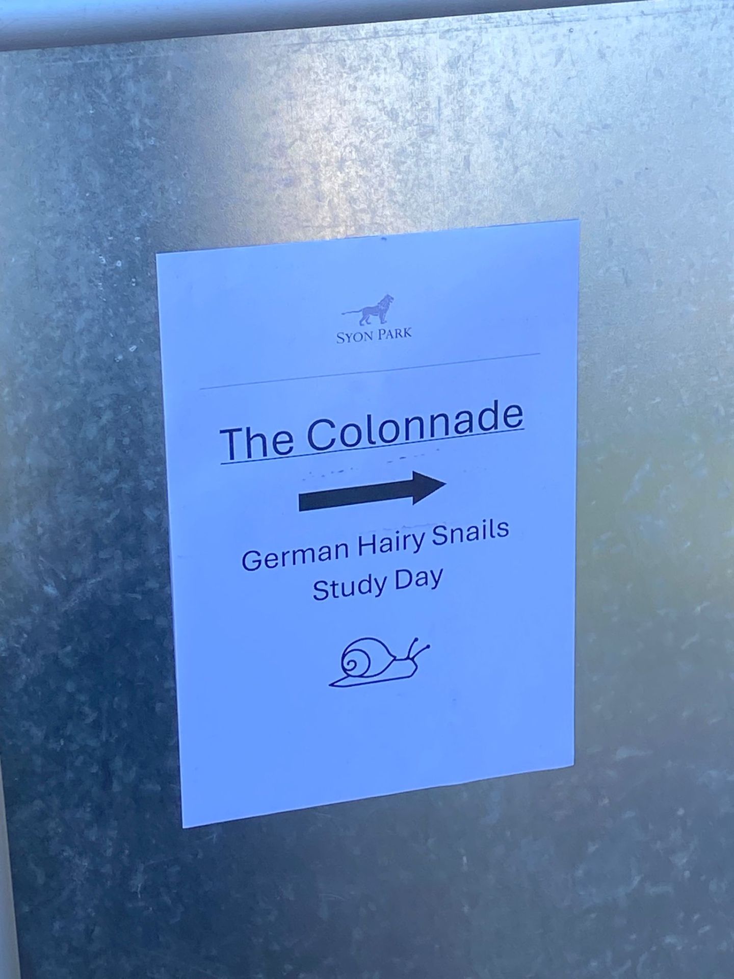 The Hunt for the German Hairy Snail – Ecology Field Notes