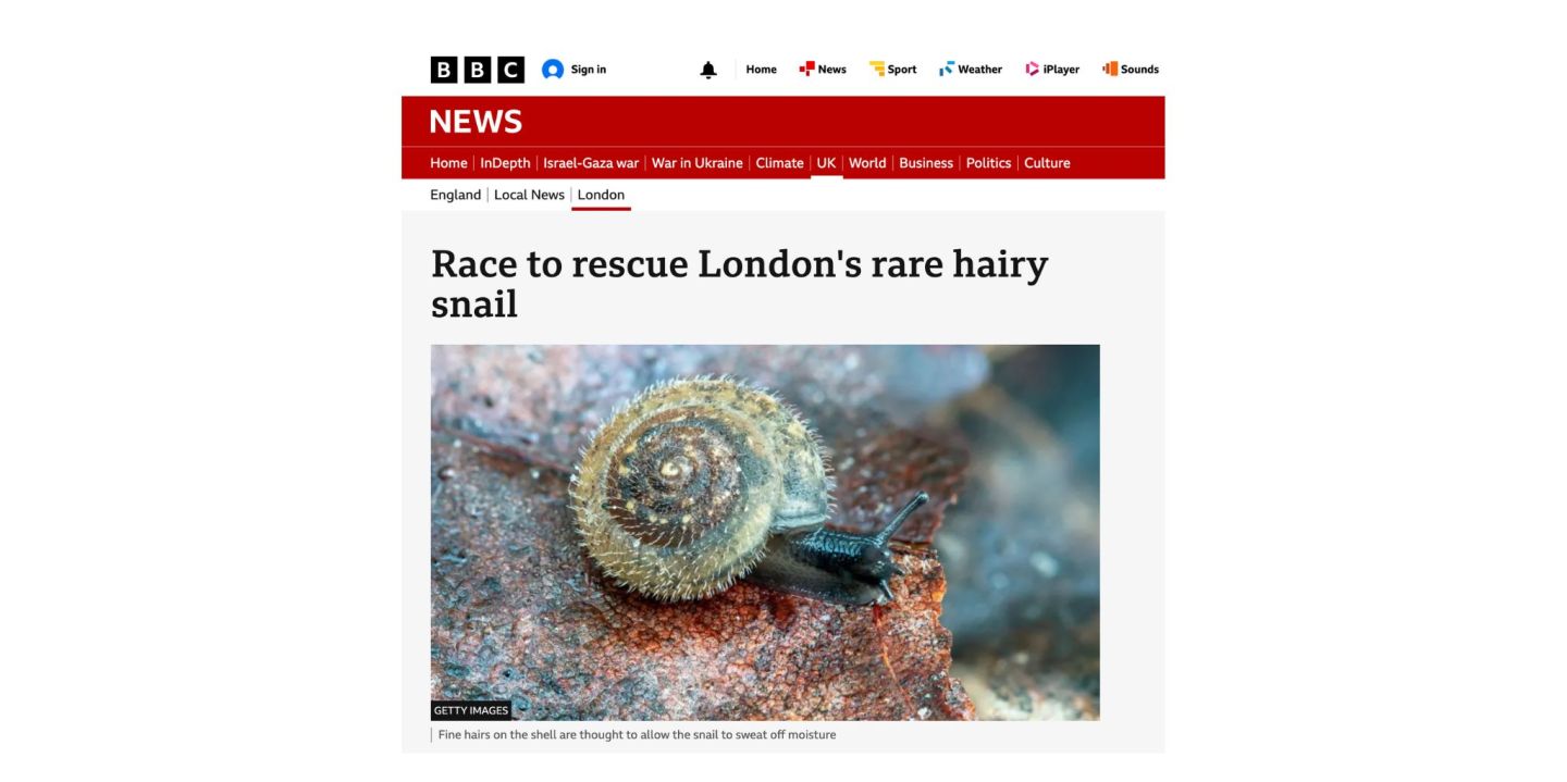 The Hunt for the German Hairy Snail – Ecology Field Notes