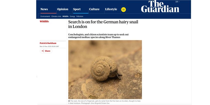 The Hunt for the German Hairy Snail – Ecology Field Notes